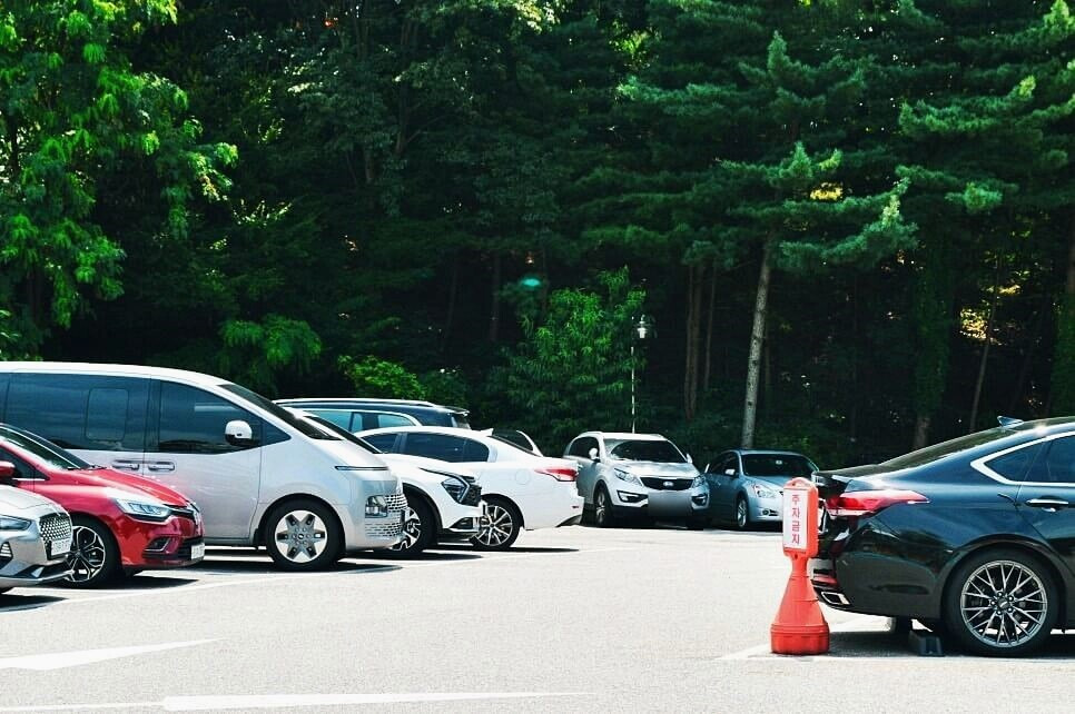 서울대공원 캠핑장 예약 주차 전기카트 등 이용방법 정리