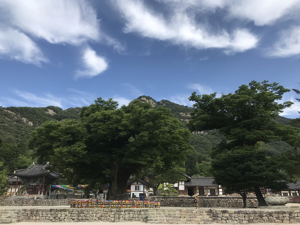 전나무 숲길 따라 걸으며 힐링 타임 변산반도 내소사feat 채석강
