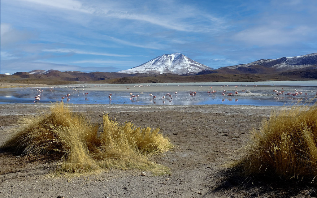 Laguna Hedionda: Bolivia's "Stinking Lake"