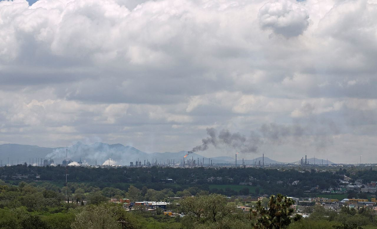 글로벌 플랜트 소식지 81호 (2020. 10. 9)