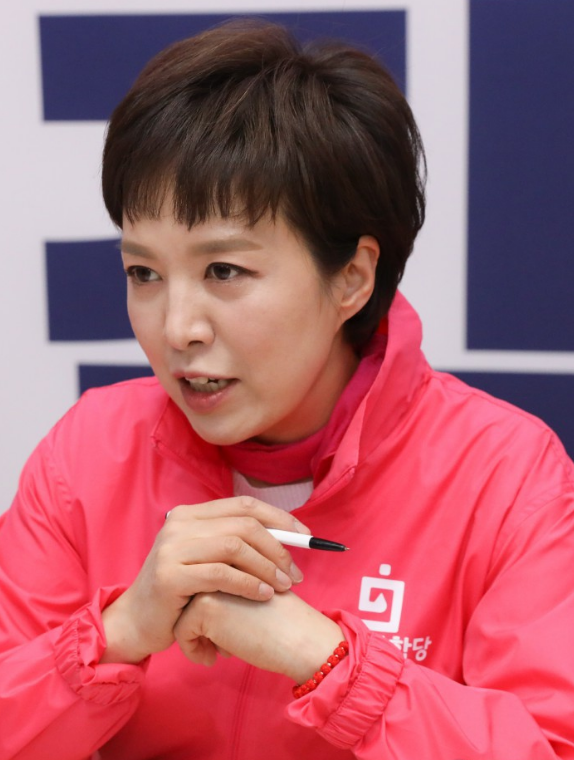 김은혜 프로필 앵커 국회의원 남편 나이 학력 고향 선거구 정보 꿀단지