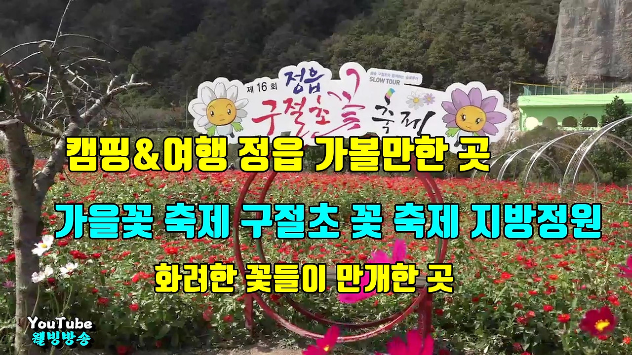 2부 캠핑and여행 정읍 가볼만한 곳 가을꽃 축제 구절초 꽃 축제 지방정원 화려한 꽃들이 만개한 곳 1016