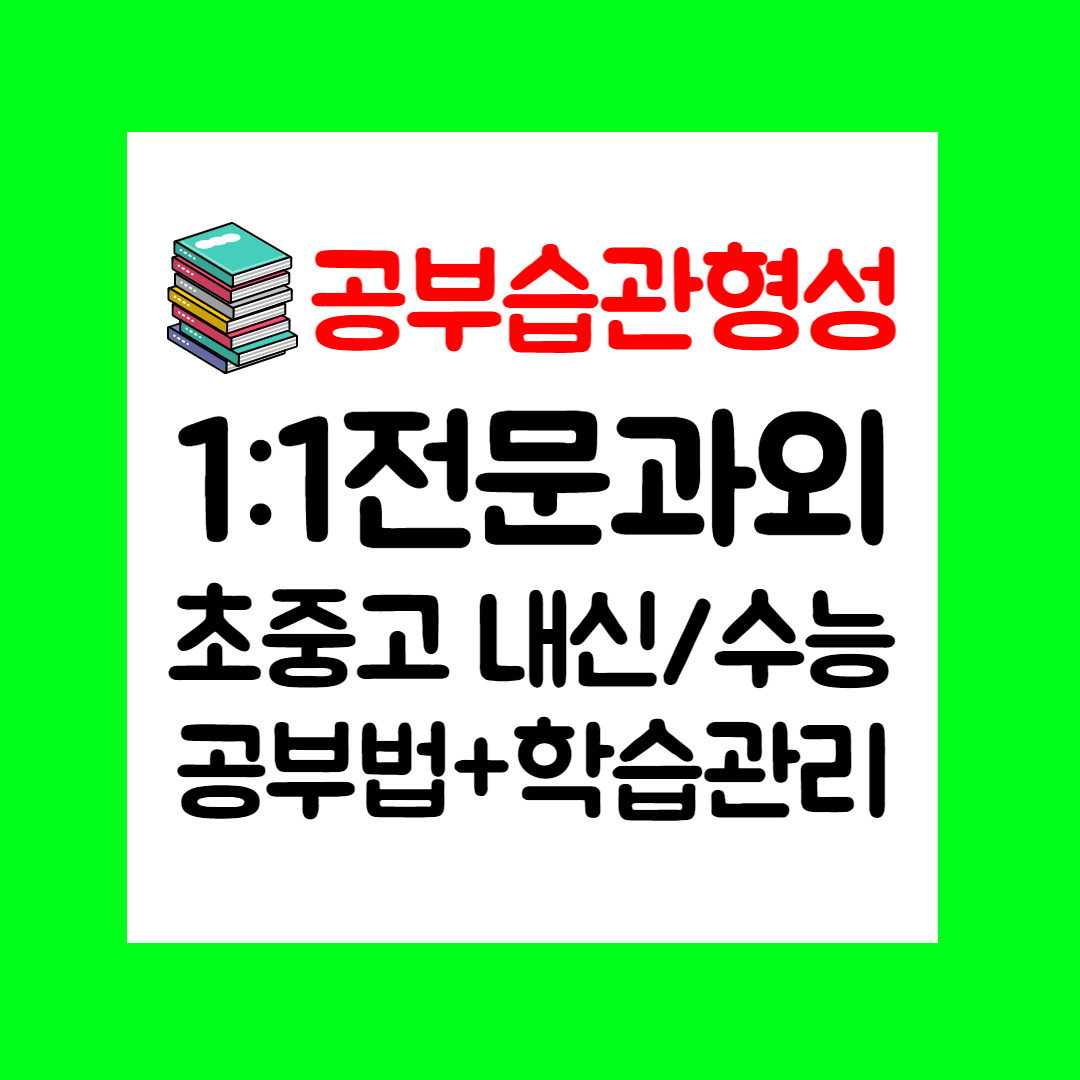 쌍문동 예비중1 수학과외 내신 중2 중3 영어과외 예비고 국어과외 겨울방학 선행 일대일영어회화