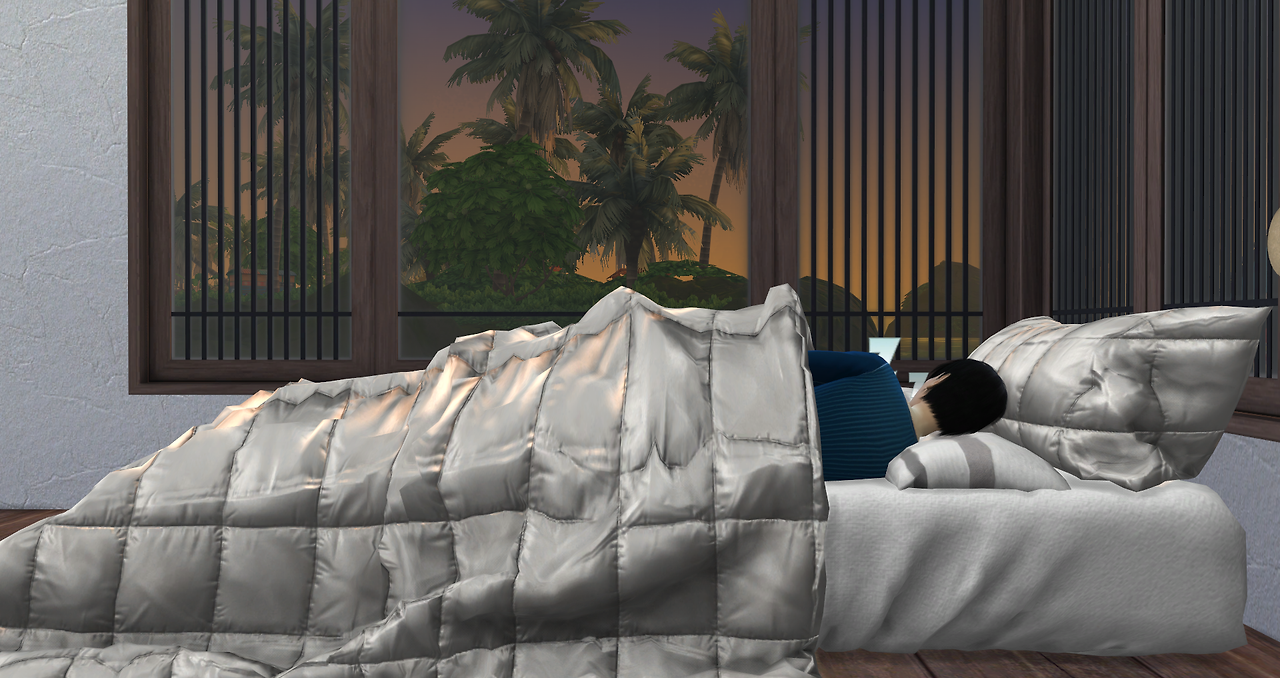 No Frame Bed — MINCSIMS