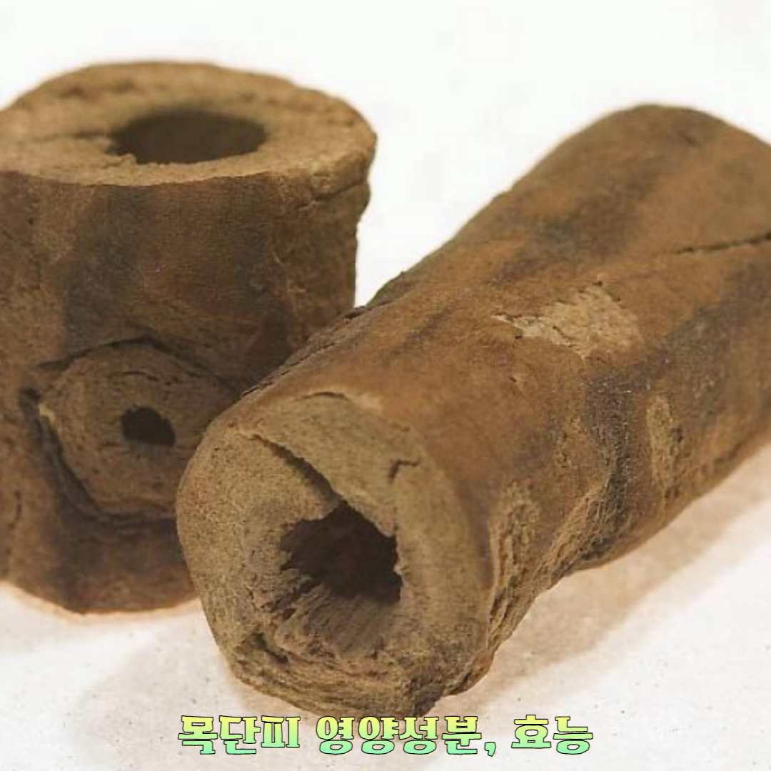 목단피 효능 영양성분 고르는 법 부작용