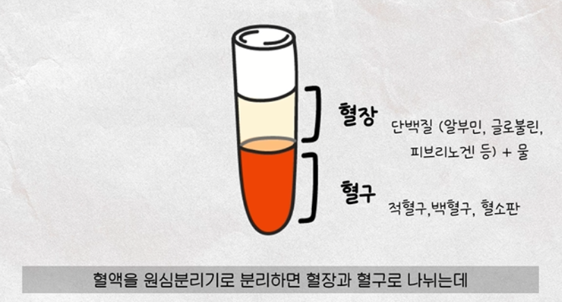 혈액제제 종류와 안전성