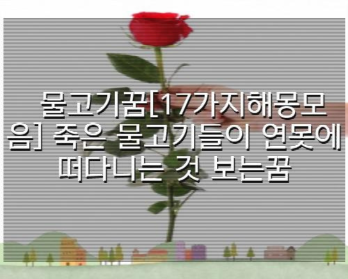 물고기꿈 17가지해몽모음 죽은 물고기들이 연못에 떠다니는 것 보는꿈