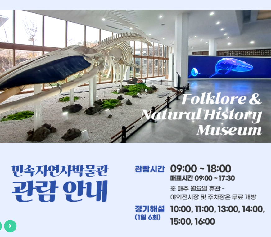 제주도 박물관 제주민속자연사박물관 아이들과 가볼만한 제주 실내 박물관
