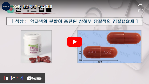 안탁스캡슐 효능 가격 부작용 정맥순환개선제