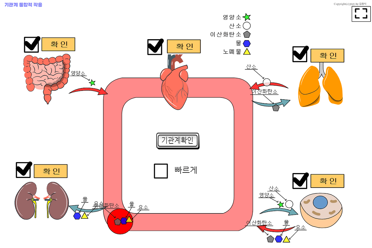 기관계소화계순환계호흡계배설계 통합적 작용 가상실험