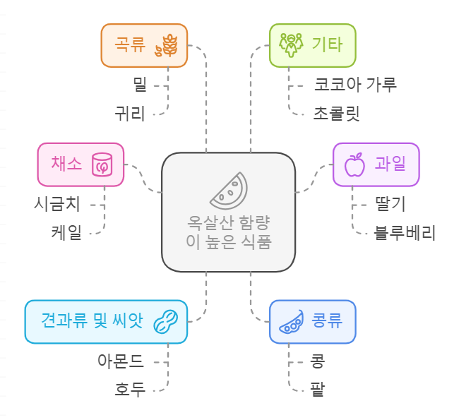 옥살산 많은 음식 대표적인 옥살산 채소 옥살산과 함께 먹으면 좋은 영양소 및 주의점