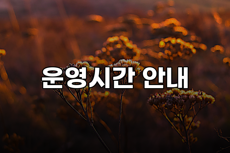 대우전자 서비스센터 전화번호 및 운영시간 필요한 정보 모두 확인하기