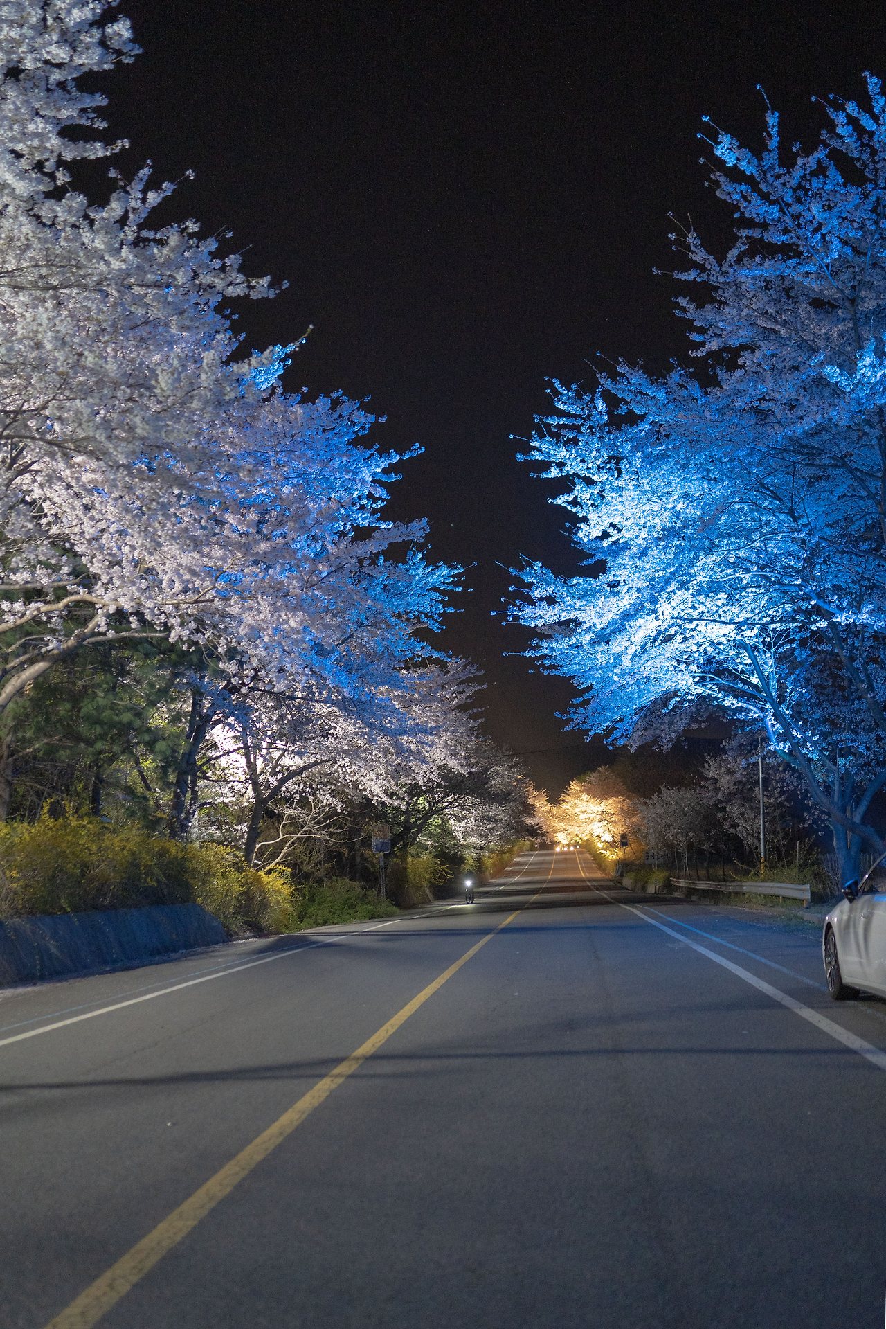 낮에도 아름답지만 저녁 야경이 더 아름다운 정자옛길