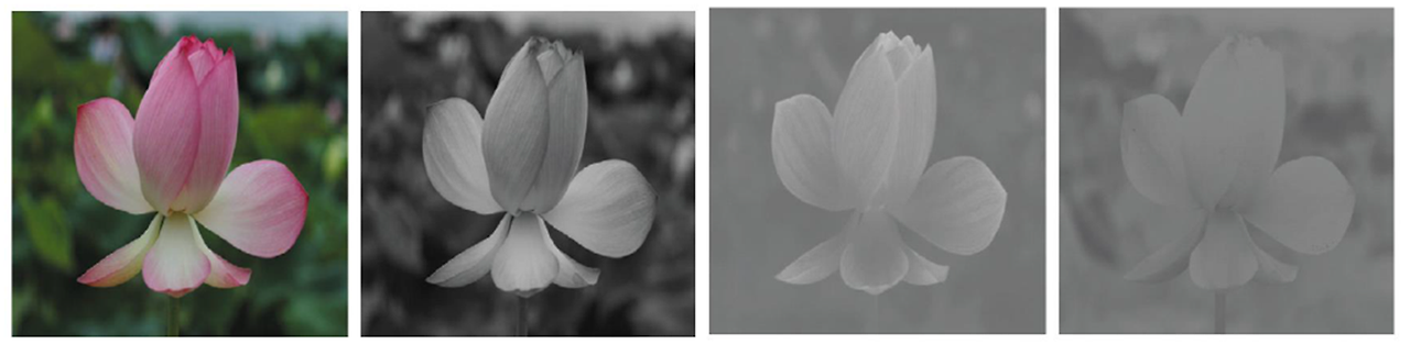 컬러 모델(Color Model) - RGB, CMYK, HSI, YCbCr, YIQ, Yuv