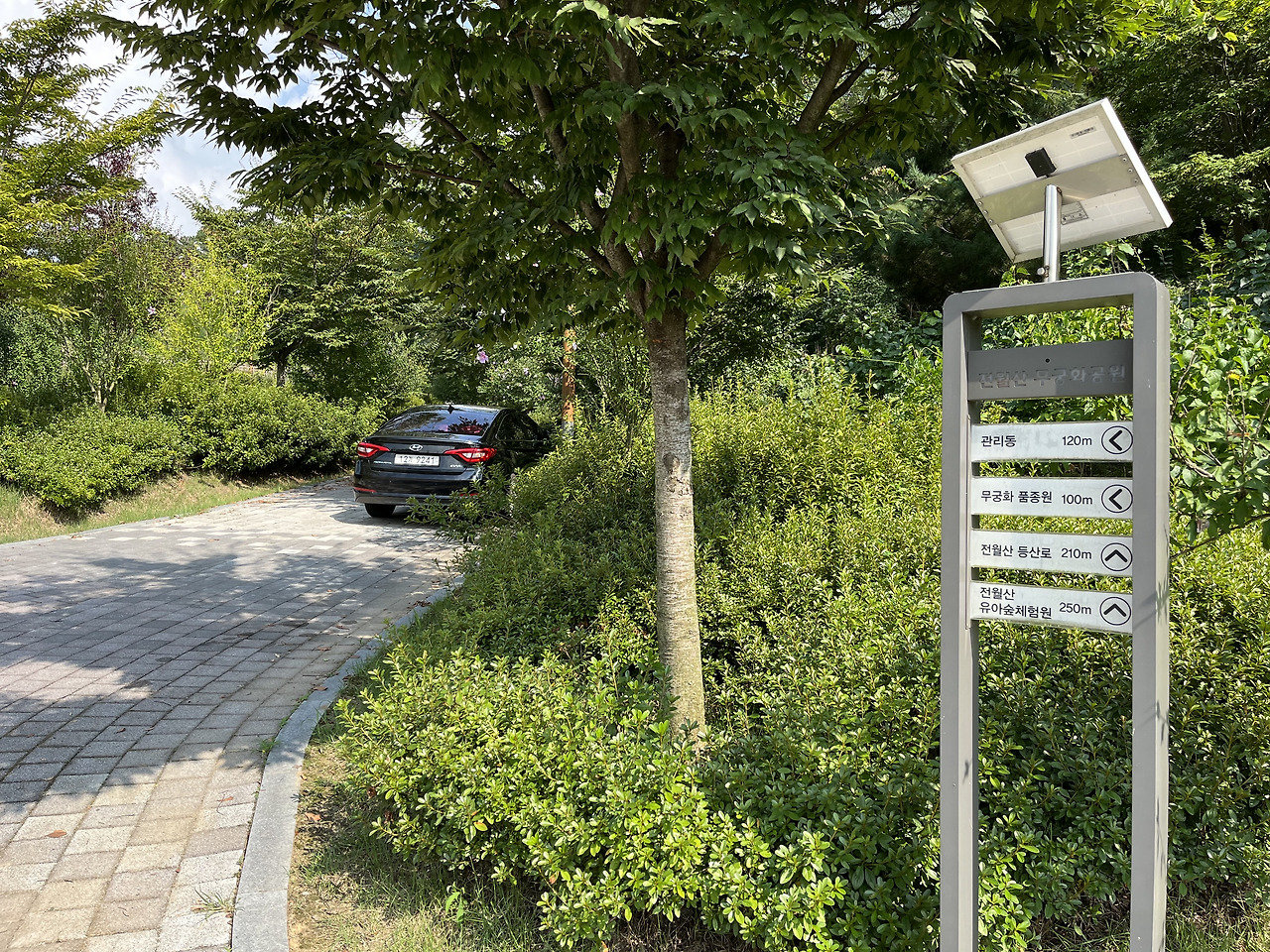 세종시 가볼만한 곳 전월산 등산 코스
