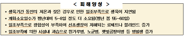 딸기·장미 ☞ 일조부족 대비 기술지도
