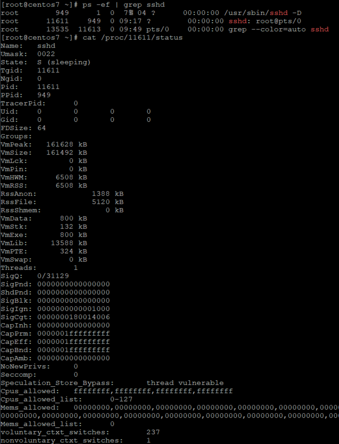 Linux - /proc/[PID]/status 파일 정보