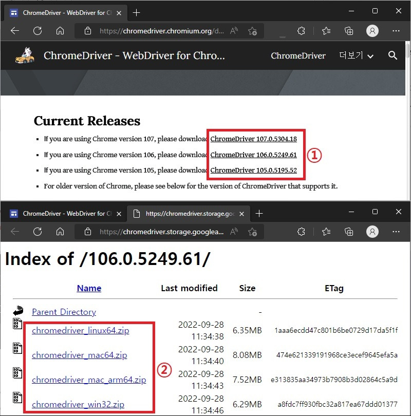 파이썬 셀레니움(Selenium) 크롬 드라이브 설치 방법 - 서기랑 이것저것