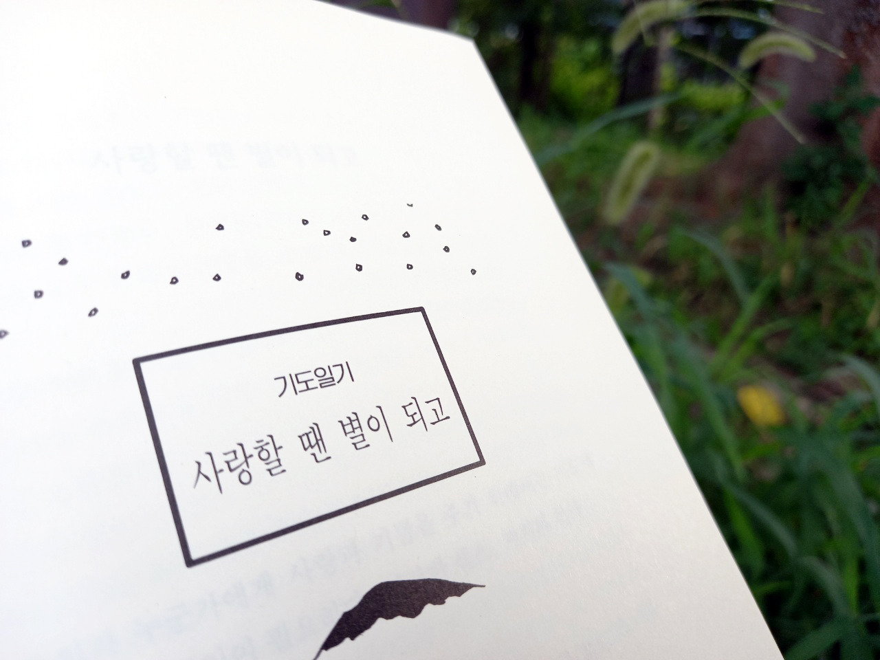 책 읽는 서대문 이해인 글모음 사랑할 땐 별이 되고