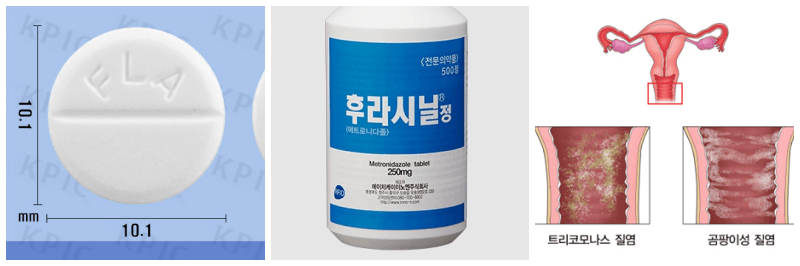 질염 방광염 치료 항생제인 후라시닐정 효과 복용법 부작용 술과 함께 마시면