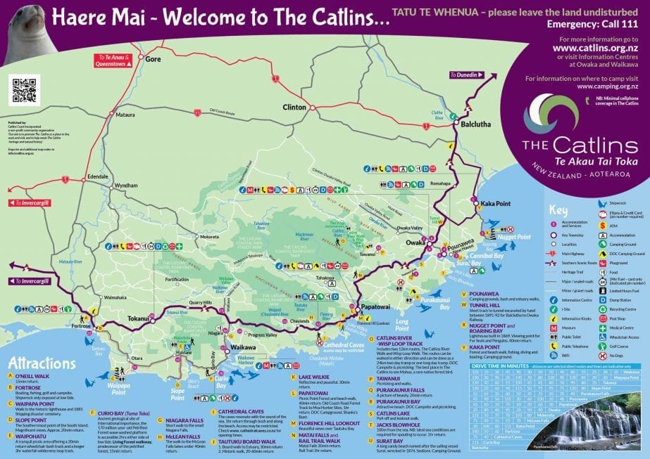 뉴질랜드 남섬 여행 더 캐틀린스the Catlins 뉴질랜드 남섬 끝 여행