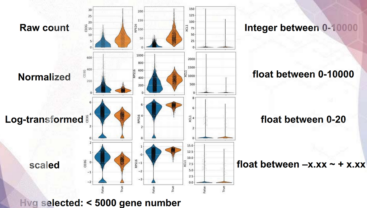 Single Cell Analysis Best Practice 정리해보기
