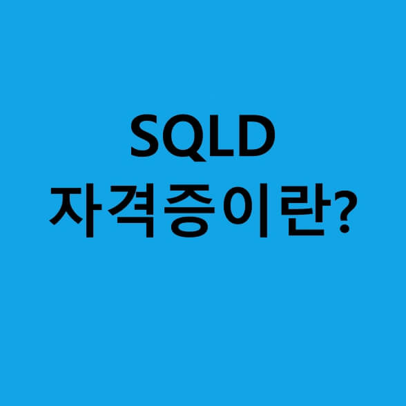 Sqld 자격증 Sqld 시험 유효 기간 취업