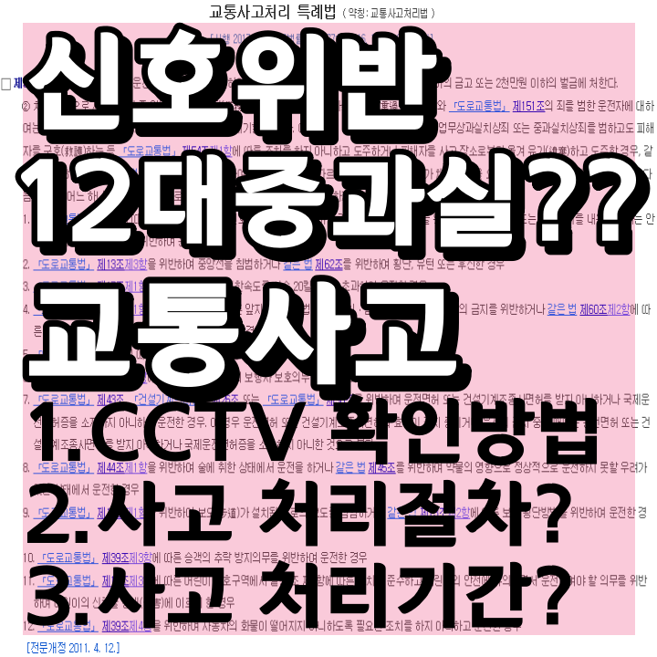 12대 중과실 교통 사고 절차 처리기간 Cctv 카메라 요청 확인 방법 교통사고처리 특례법 12대 중과실중 제3조 2항 1호