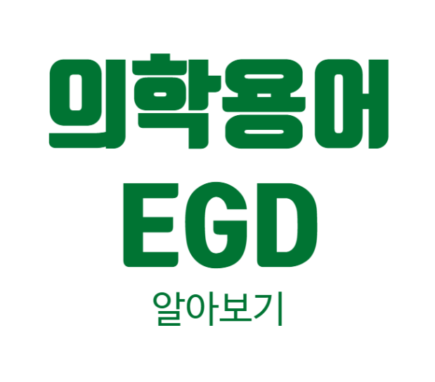 EGD 의학용어 정의, 절차, 필요성과 장점 등