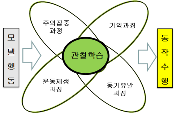 반두라의 발달이론 사회적 관계를 위한 모방학습