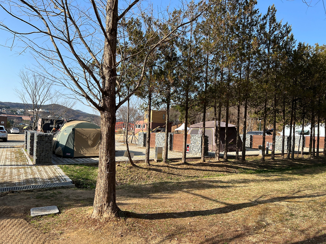 세종시 대전 근처 캠핑장 금강자연휴양림야영장 후기 대전근교 캠핑장 갈 만한 곳 아이들 놀이터 있는 캠핑장