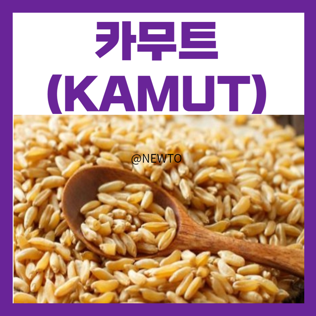 착한 탄수화물 ‘카무트의 유래 영양성분 효능 7가지 및 먹는 방법