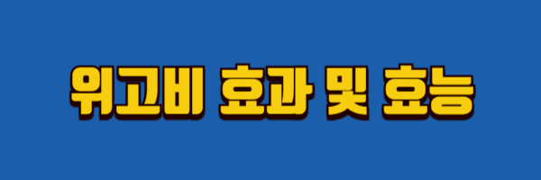위고비 효과부터 부작용·가격·처방까지 총정리｜비만치료제 최신 트렌드 2025
