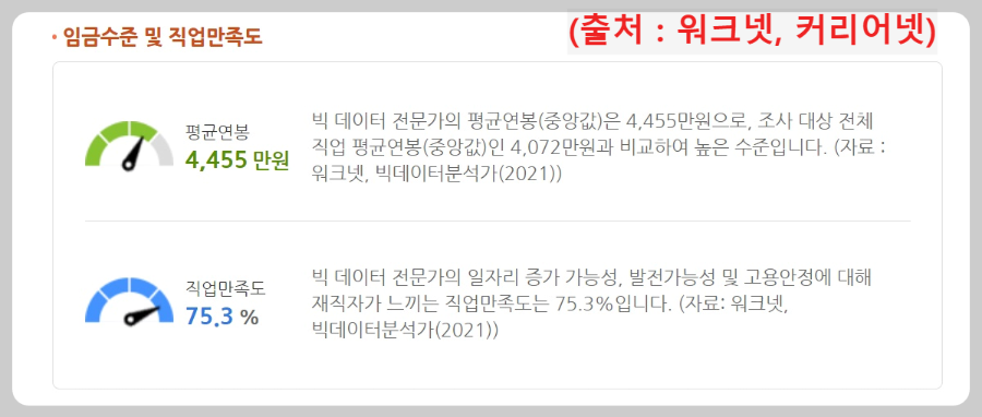 빅 데이터 전문가 하는 일과 되는 법 연봉 및 전망 알아보기