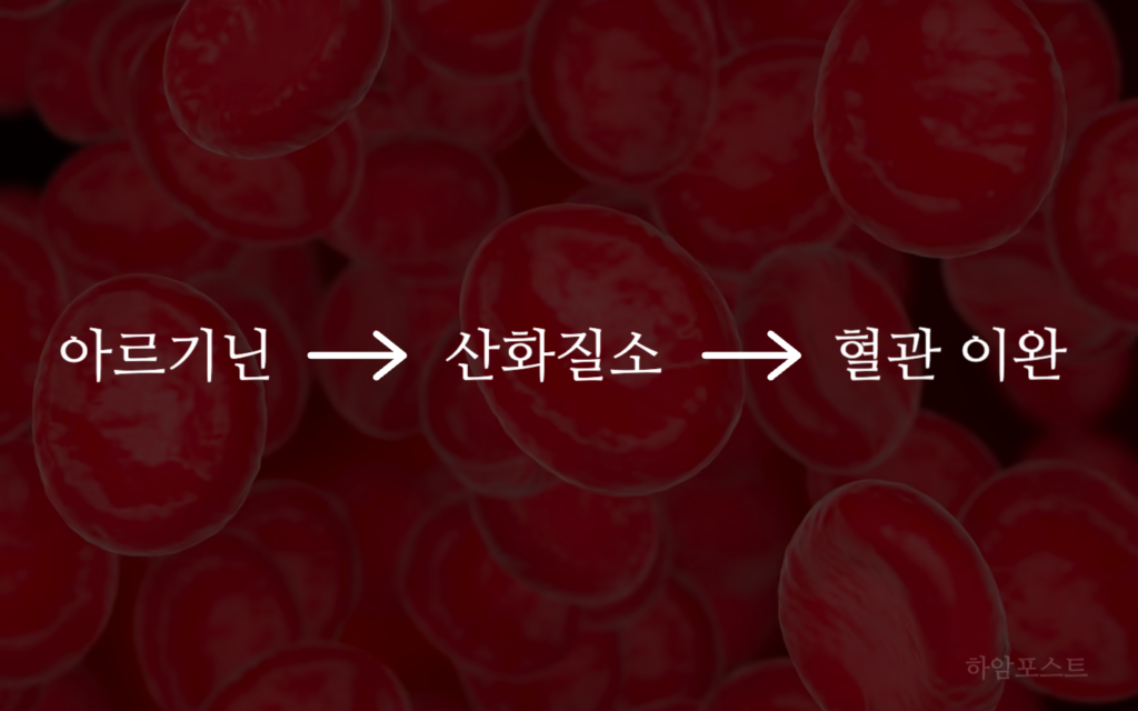 아르기닌 효능 7가지와 꼭 알아야 하는 부작용