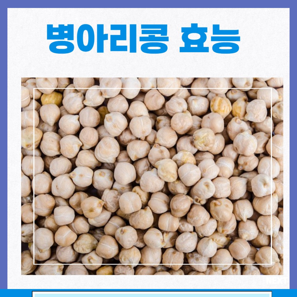 병아리콩 효능 부작용 칼로리 병아리콩 먹는법