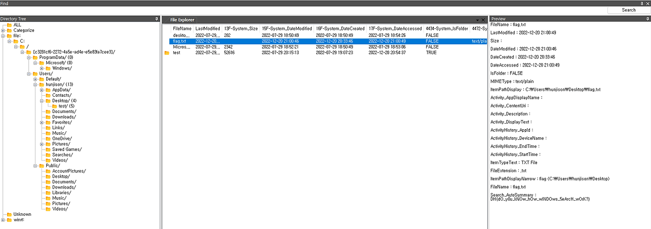 [Dreamhack] Write up - Windows_Search