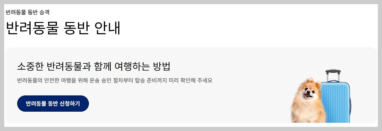 대한항공 수화물 규정 기내 수하물 위탁 수하물 크기와 무게 허용량 총정리