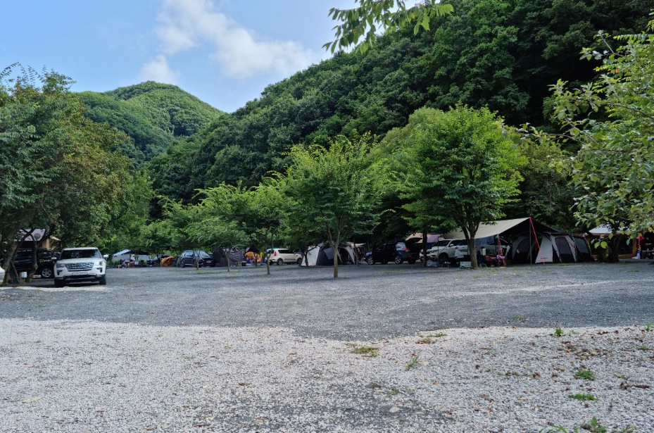 경기 포천 담터금학 캠핑장 예약 방법 애견 동반 가격 주소 시간 후기 댕댕캠핑 전국 애견동반 캠핑장