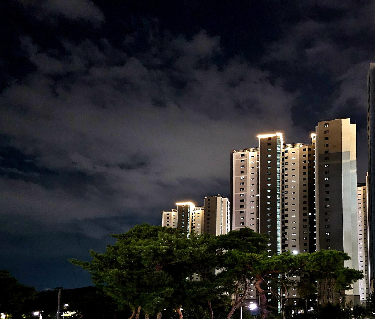 Memory 5 - 암탉과 병아리