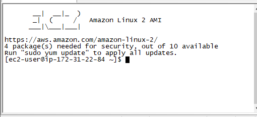 IT 한길 :: [AWS] EC2 SecureCRT 로 접속하기