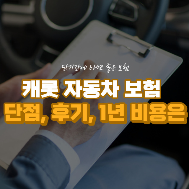 캐롯 자동차 보험 단점 실제 후기 1년 평균 비용은