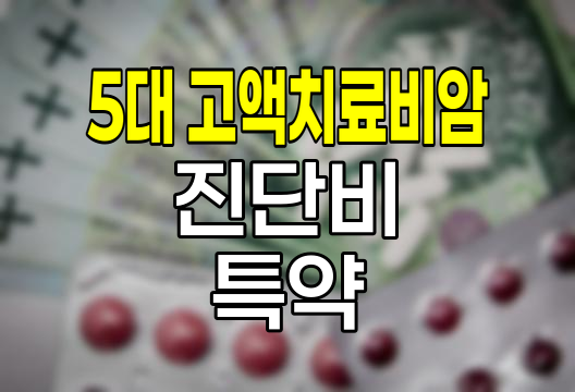 농협손해보험 5대 고액치료비암진단비 특약 심층 분석 메모리유