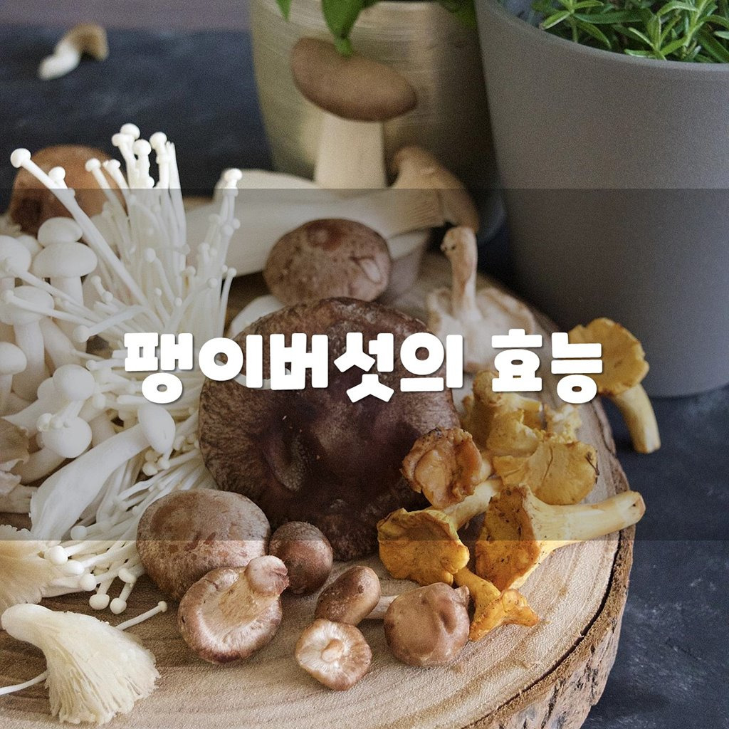 팽이버섯의 효능항암 효과 변비 예방 체지방 감소