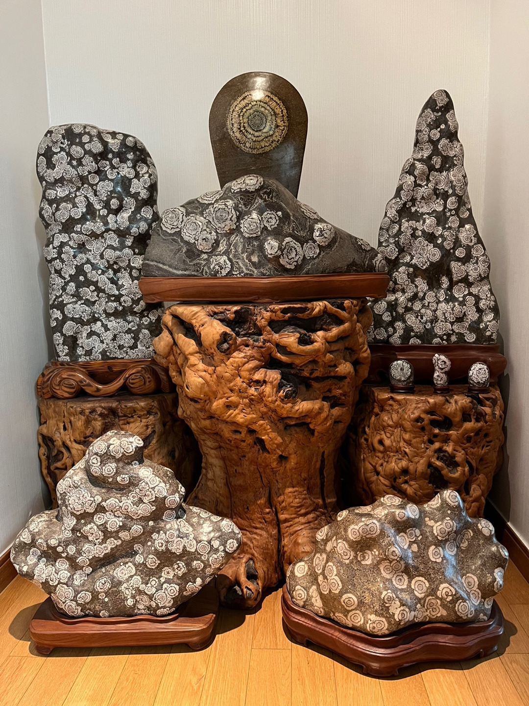 우리나라 전체 각 성씨 한문 한자 표기 본관별 인구순위 관향 대한민국 고유성씨 국내 귀화한 성씨 수 한국 성씨별 순서 랭킹 ...