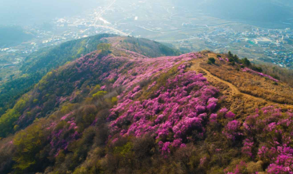 삼천포 제주도 배편 여객선 시간표 요금 차량선적 등 3분 총정리