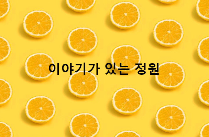 엘리스의 합리 정서 행동치료 Rebt①인지심리학 인지치료 비합리적 신념체계 Rebt의 기본원리 역기능적 사고 Abc