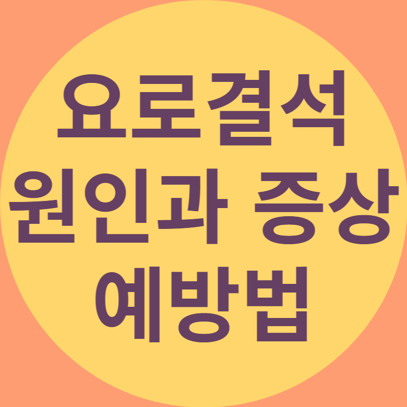 요로결석이란 무엇이고 어떻게 예방하고 치료할 수 있을까 김두두의 짬뽕잡탕