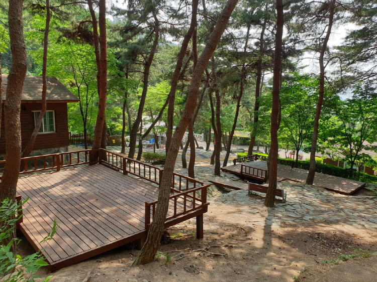 칠곡 송정자연휴양림 예약과 이용안내