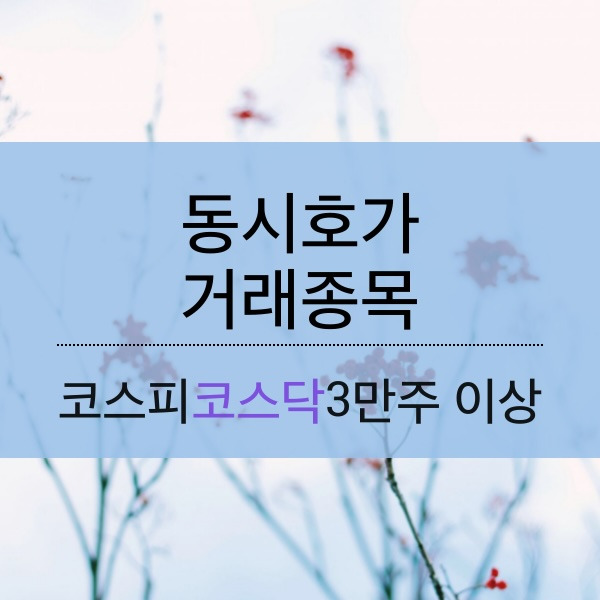 1110 동시호가 거래 종목으로 보는 시황 리뷰